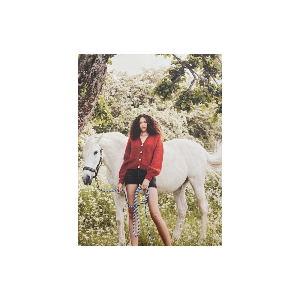 Strik og Plantefarvning - Uld, Krap og grønne blade - af Signe Siemsen